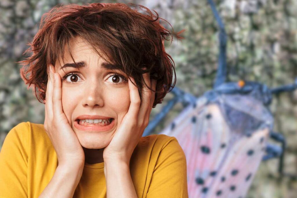 È bella ma letale: come riconoscere e proteggersi dalla falsa farfalla - Free.it